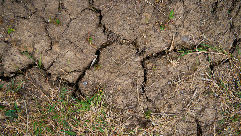 UK Subsidence Map & Postcode Checker | Check Your Risk | Geobear
